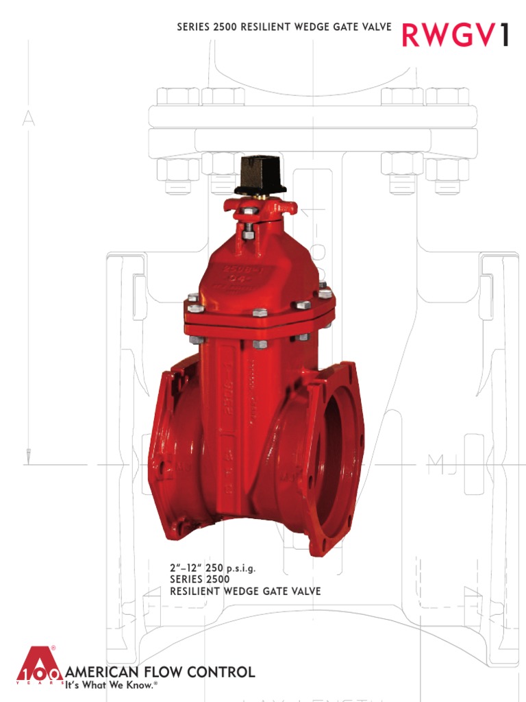 2500 Valve Brochure | PDF | Valve | Washer (Hardware)