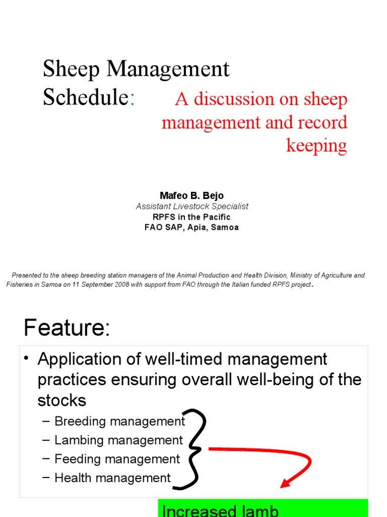 Sheep Management for Breeding Managers | PDF | Sheep | Food Industry