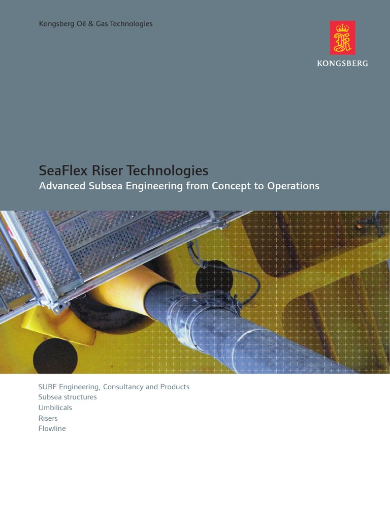 SeaFlex Riser Technologies | PDF | Subsea (Technology) | Engineering