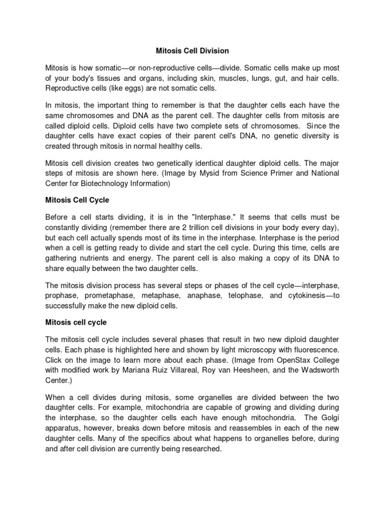 Cell Division | PDF | Mitosis | Meiosis