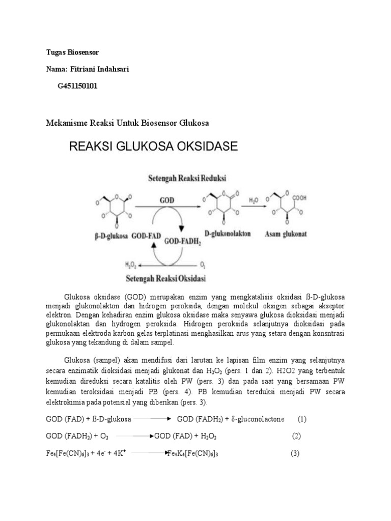 Biosensor Glukosa | PDF