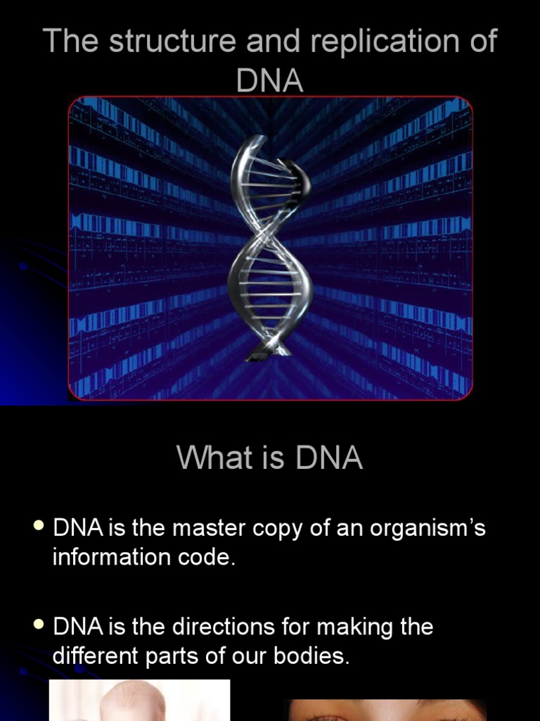 02 Dna - Replication Matt | PDF