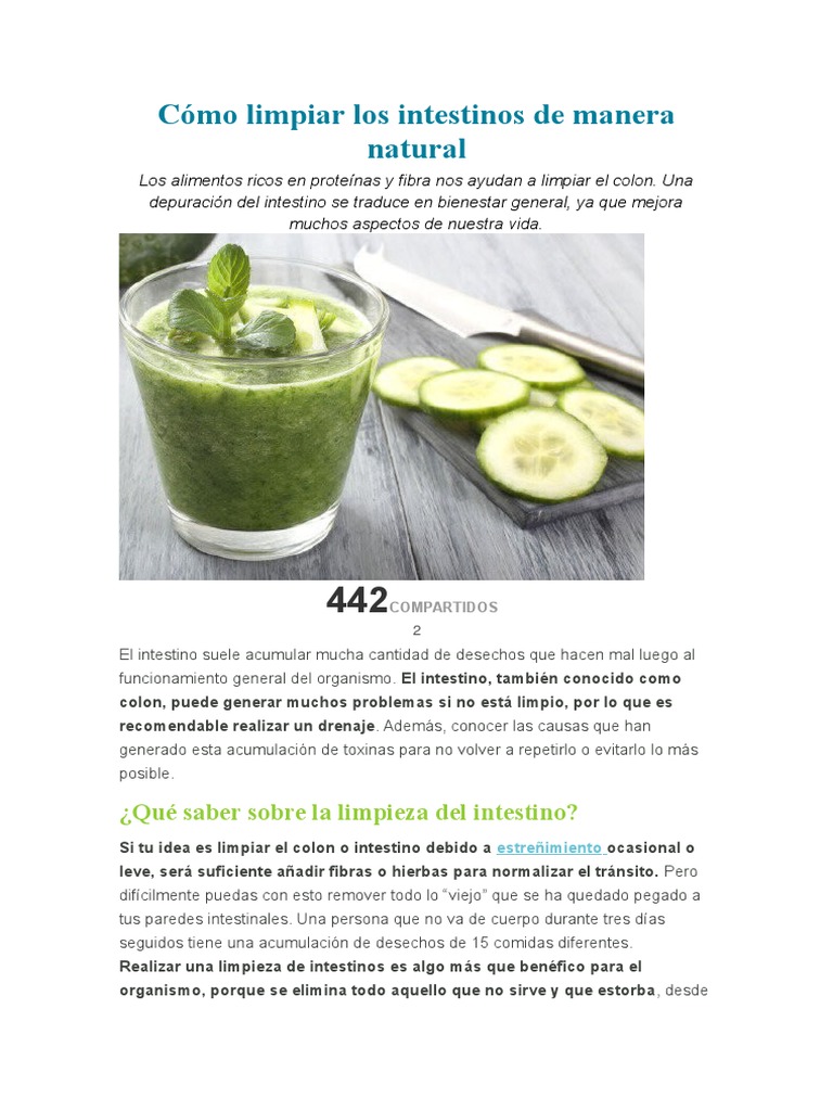 Cómo Limpiar Los Intestinos de Manera Natural | PDF | Estreñimiento ...