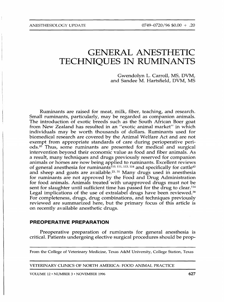 Anesthetic Techniques for Ruminants | PDF | Anesthesia | Receptor ...