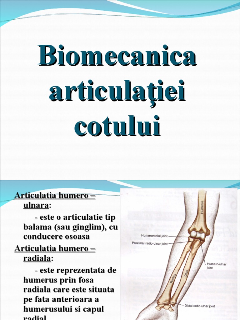 Cot Antebrat | PDF