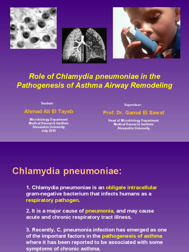Role of Chlamydia Pneumoniae in The Pathogenesis of Asthma Airway ...
