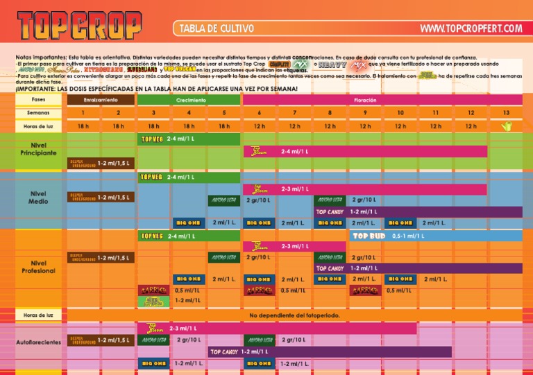Tabla Top Crop | PDF