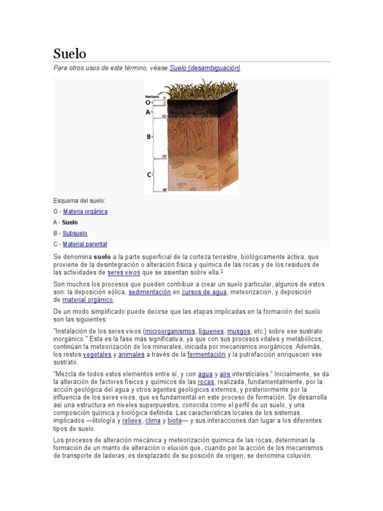 Suelos | PDF | Suelo | Roca (geología)