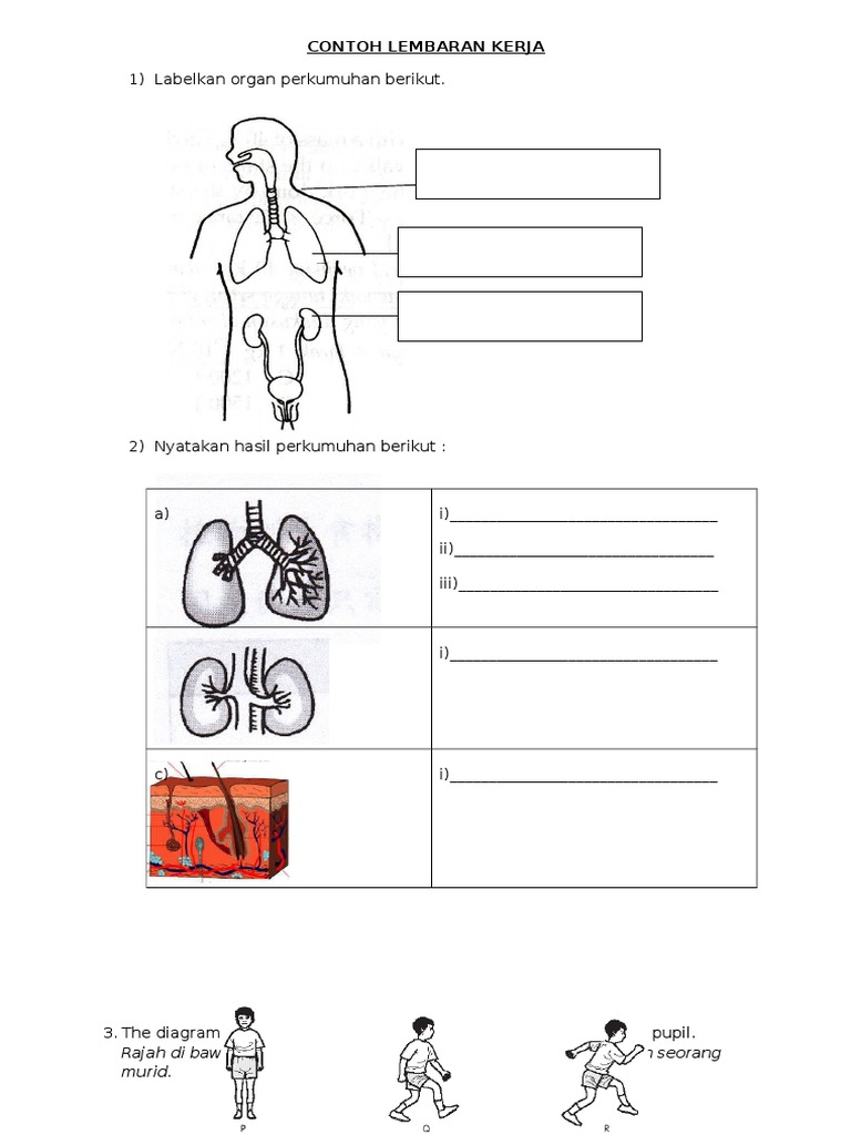 Lembaran Kerja Sains Tahun 4 Pdf
