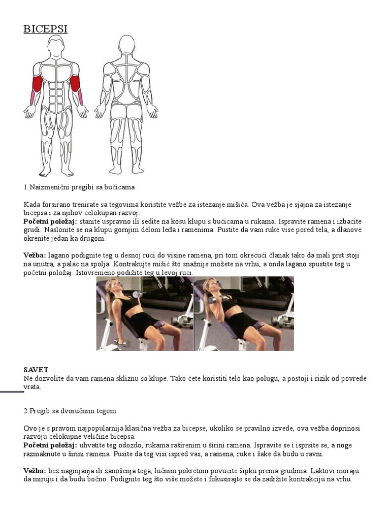Vezbe Za Bicepse PDF | PDF