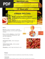 Red Blood Cell Adaptations Explained | PDF