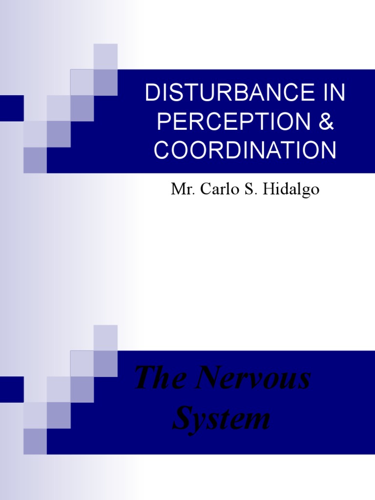 Disturbance in Perception & Coordination: Mr. Carlo S. Hidalgo | PDF ...