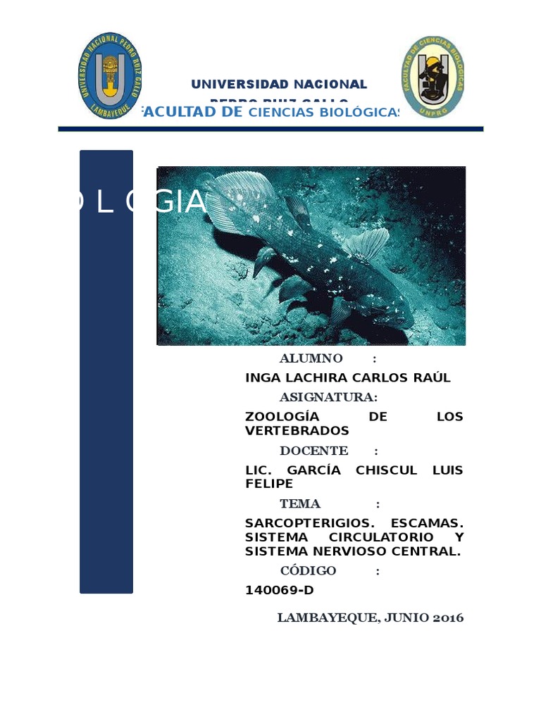 Evolución y características de sarcopterigios | PDF | Pescado | Corazón