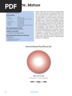 Cell Biology Laboratory | PDF | Microscopy | Lens (Optics)