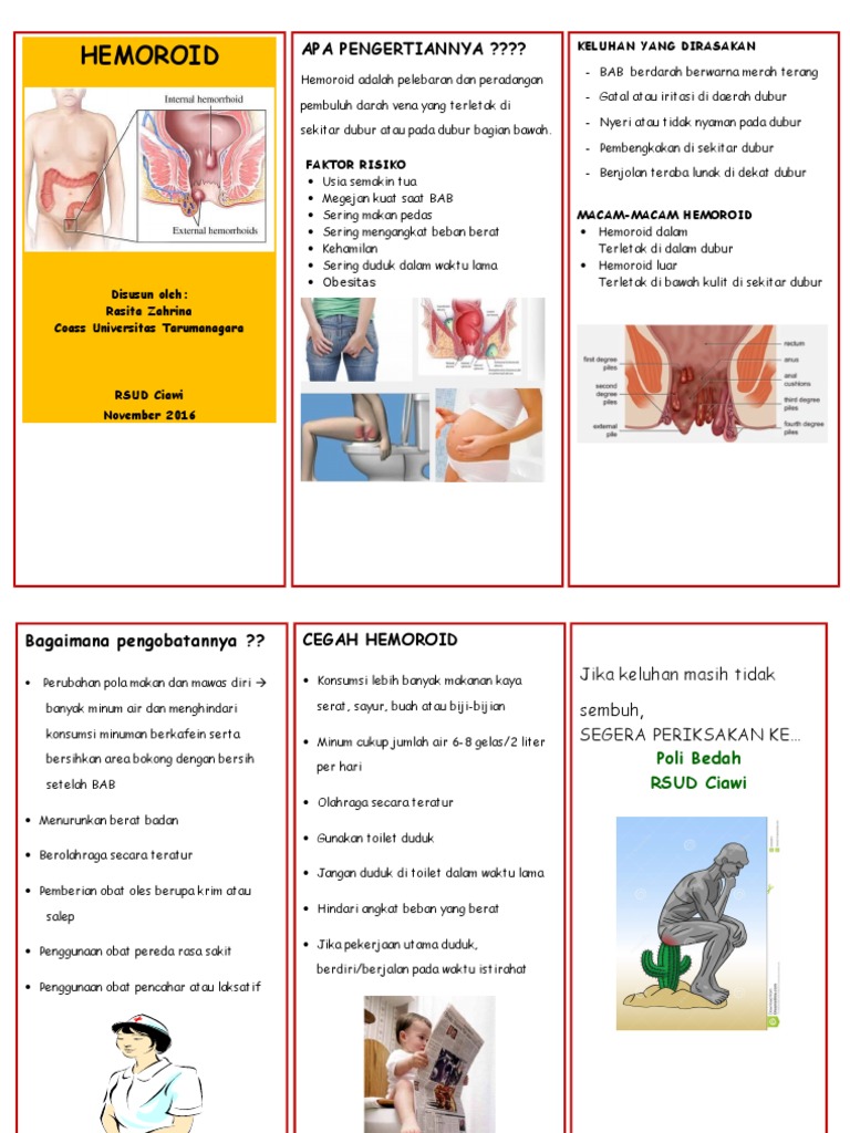Edukasi dan Pencegahan Hemoroid | PDF