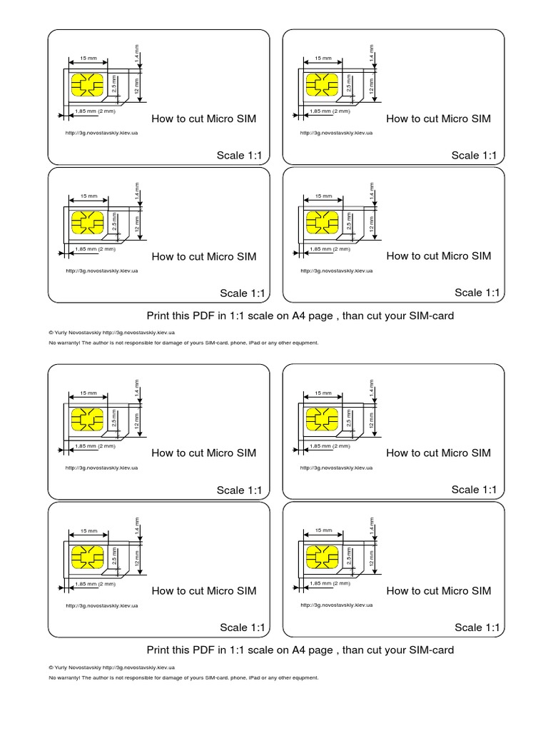MicroSIM PDF | PDF