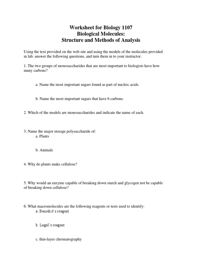 Biology 1107: Biological Molecules Worksheet | PDF