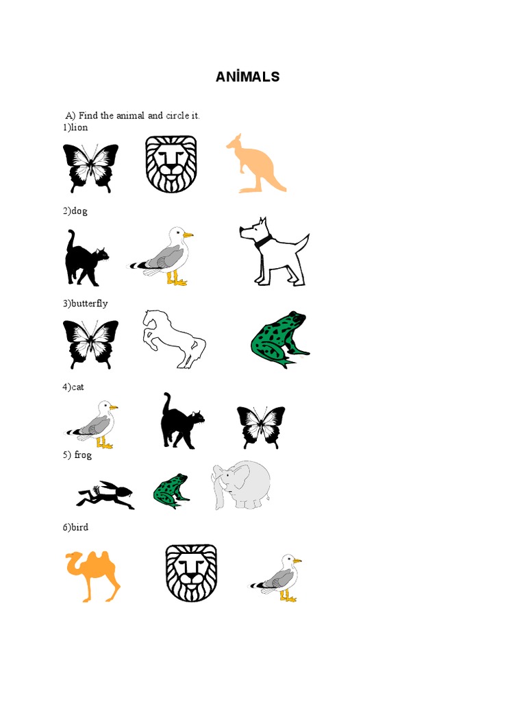 Find The Animal and Circle | PDF