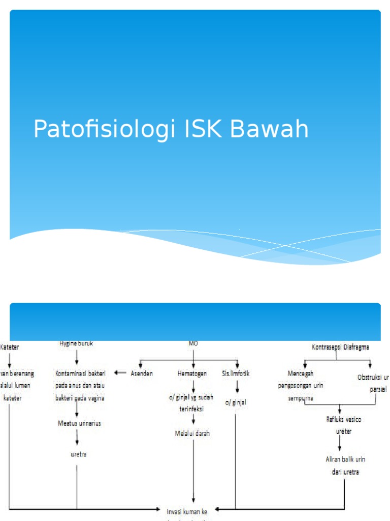 Patofisiologi ISK Bawah | PDF