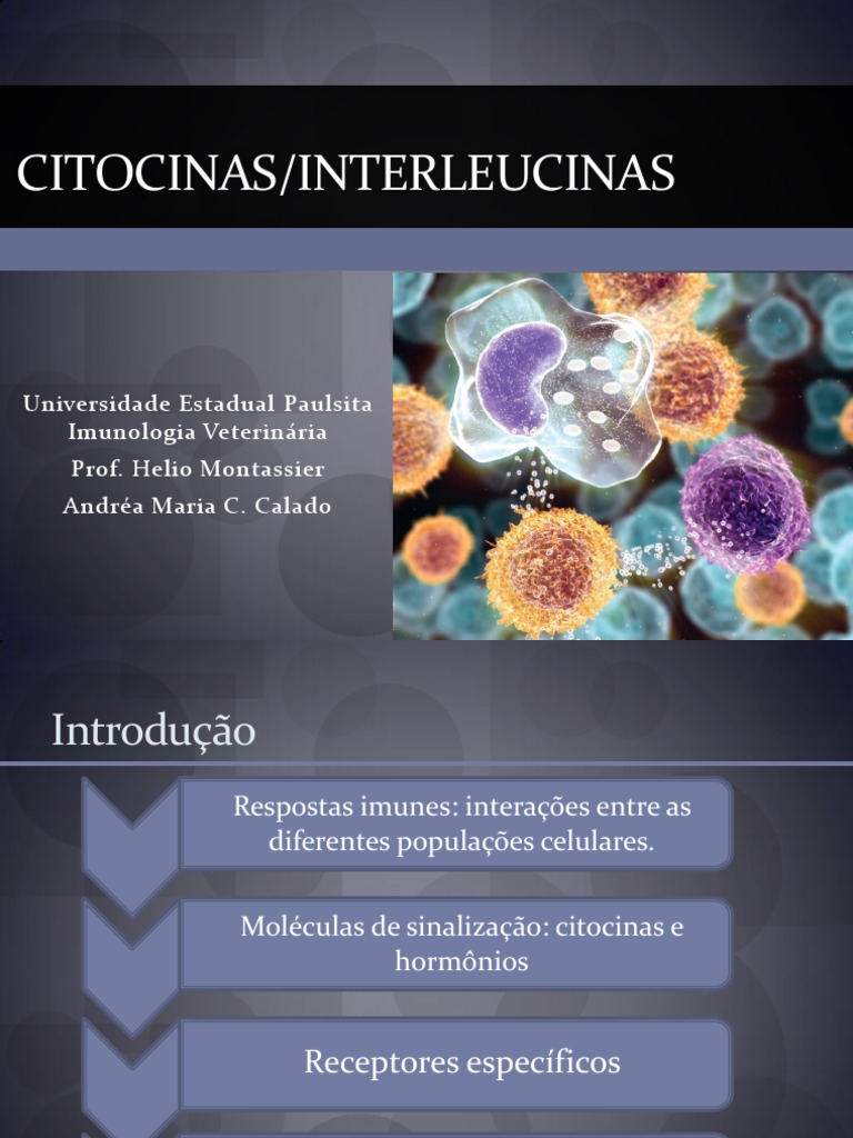 Citocinas | PDF | Citocina | Interleucina 12