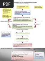 GMMMG Neuropathic Pain Guidance Final Version 8.2 For GMMMG Website | PDF
