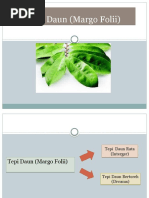 Morfologi Rumput Teki Cyperus Rotundus | PDF | Griya & Taman | Sains ...