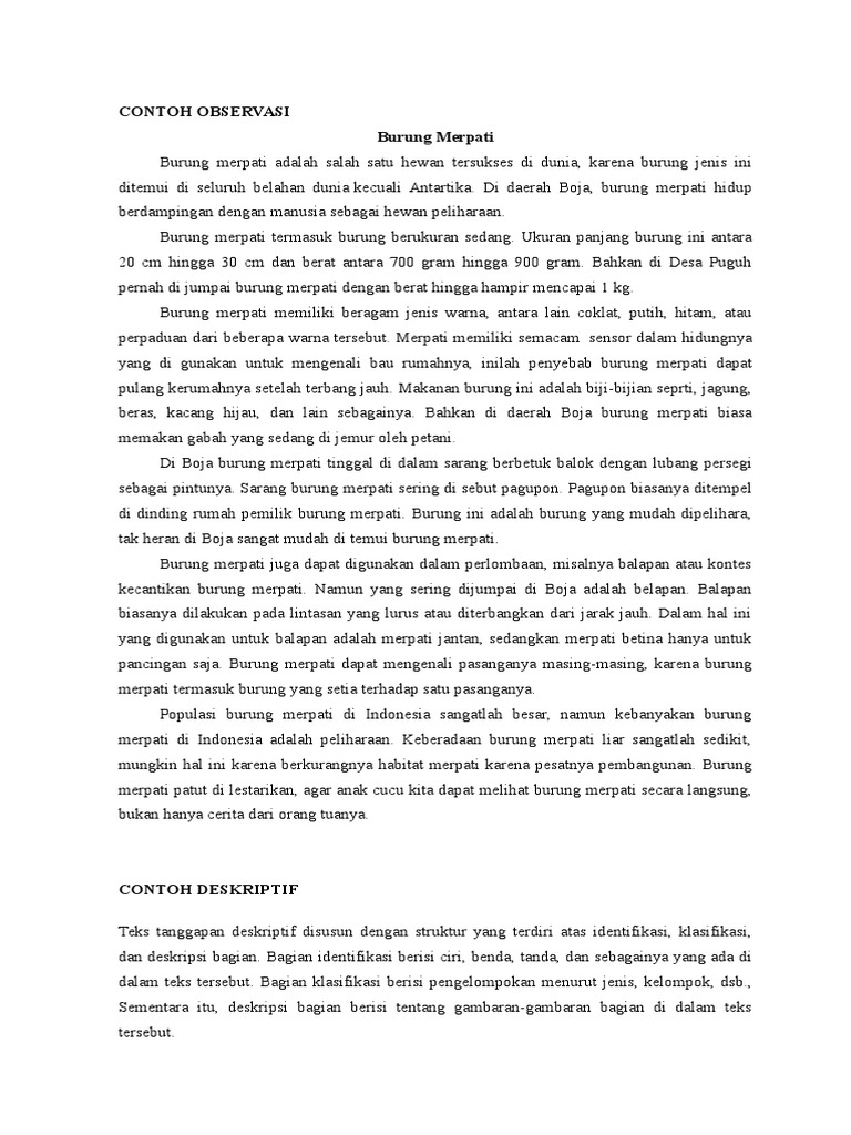 Contoh Observasi | PDF | Griya & Taman