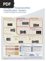 Aaos Rom Values | PDF | Anatomical Terms Of Motion | Limbs (Anatomy)