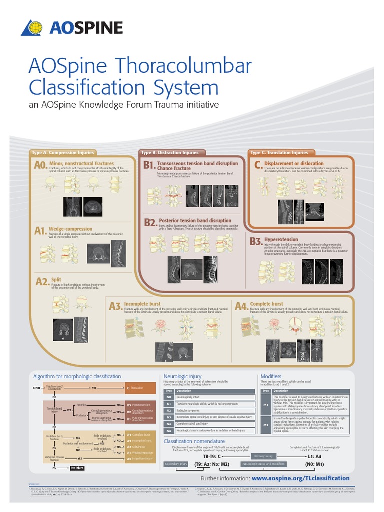 AOSpine Thoracolumbar Classification System_poster | Vertebra ...