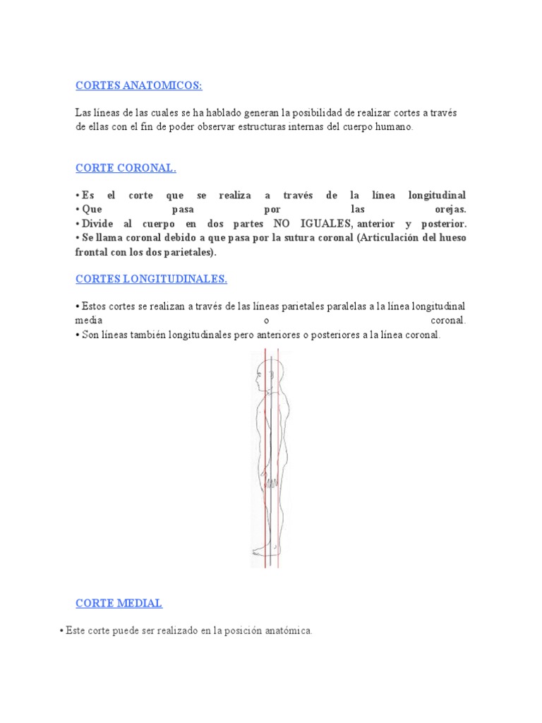 Cortes Anatomicos | PDF