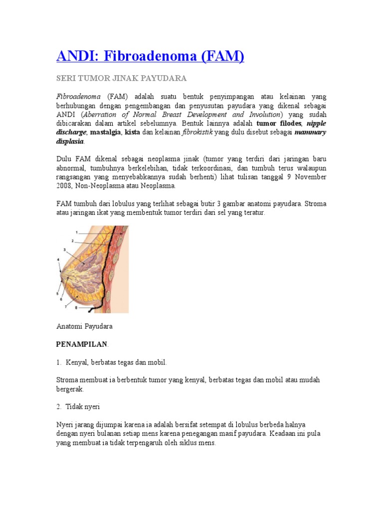 Andi | PDF | Sains & Matematika