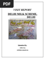 Amul Plant Layout | PDF | Butter | Milk