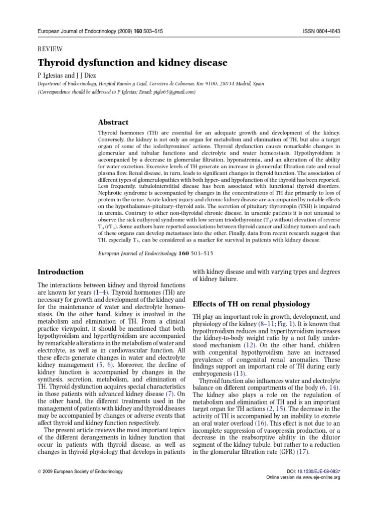 Thyroid Dysfunction and Kidney Disease | PDF | Thyroid Stimulating ...