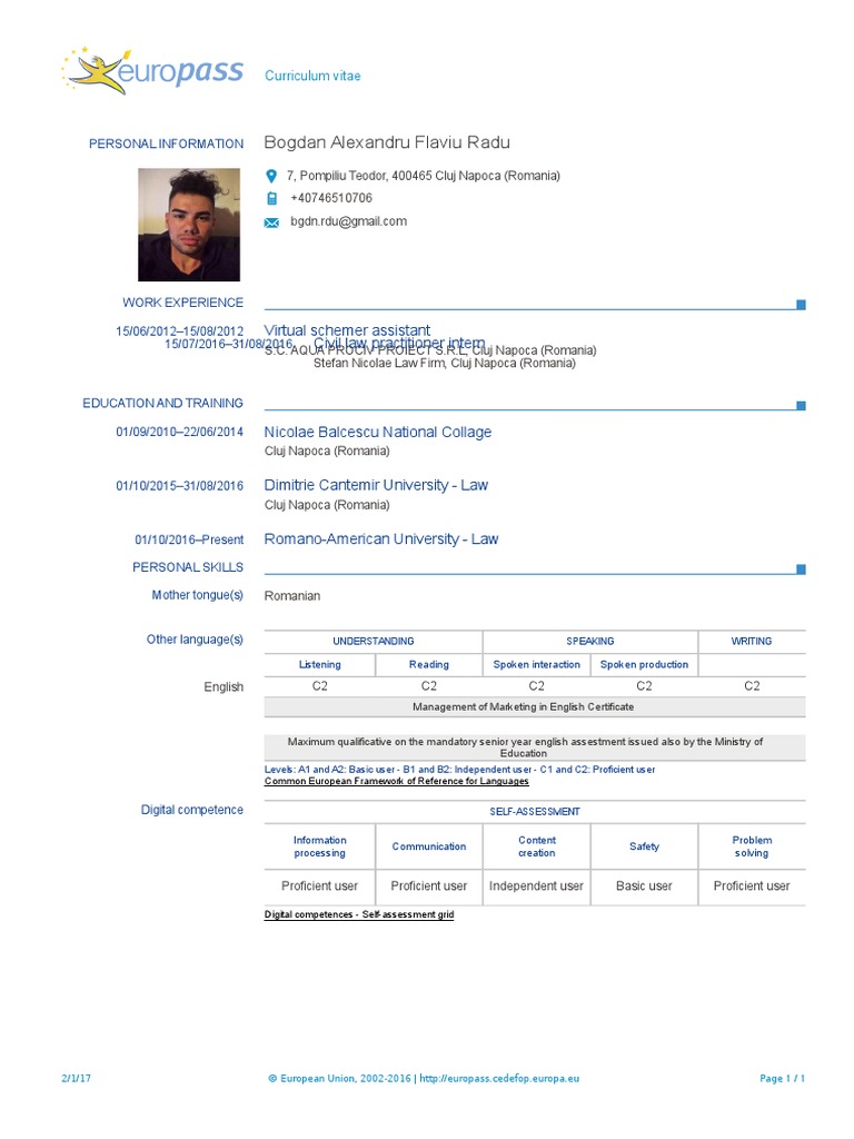 Bogdan Alexandru Flaviu Radu's Curriculum Vitae | PDF | Communication | Cognition