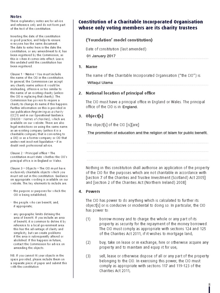 Foundation Model Constitution | Trustee | Charitable Organization