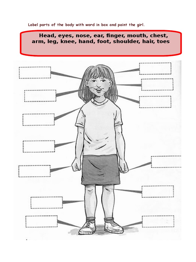 Head, Eyes, Nose, Ear, Finger, Mouth, Chest, Arm, Leg, Knee, Hand, Foot ...