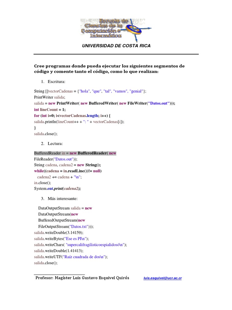 Ejercicios de Programación en Java | PDF | Archivo de computadora | Ingeniería Informática