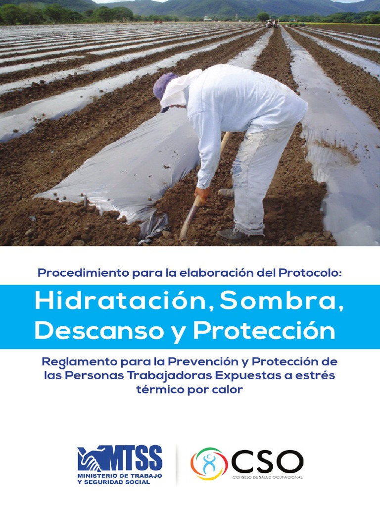 Guia Implementacion Protocolo Reglamento 39147 S TSS | PDF ...