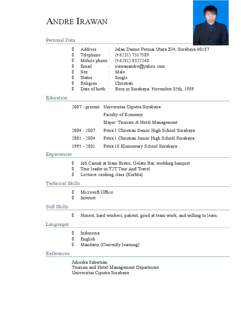 Contoh CV Internship | PDF