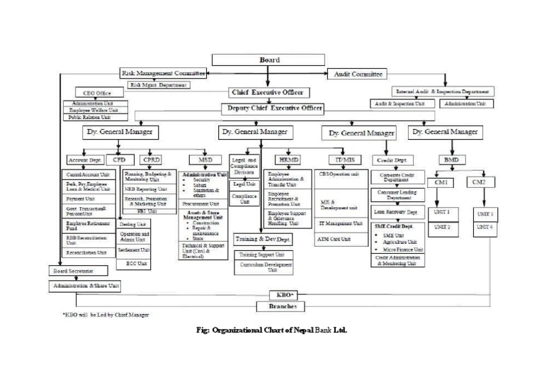Fig: Organizational Chart of Nepal Bank LTD | PDF