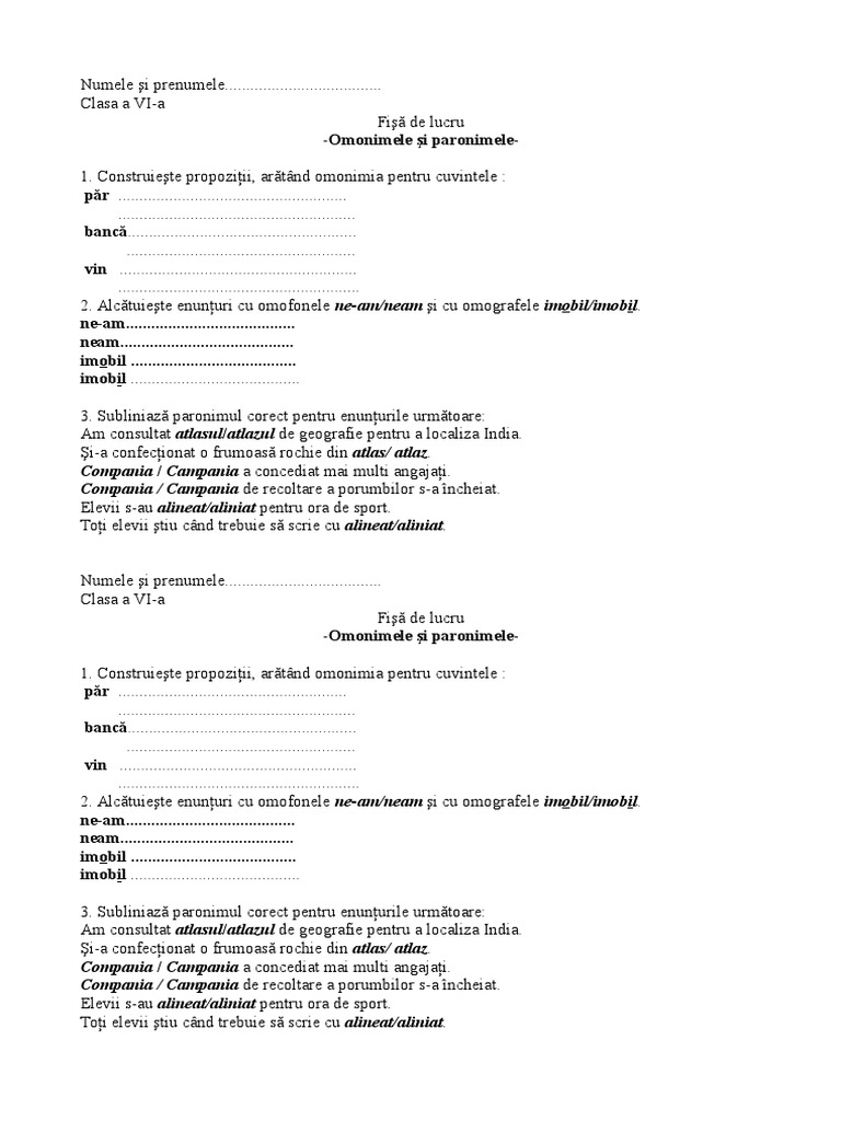 Fisa de Lucru Omonime Paronime | PDF