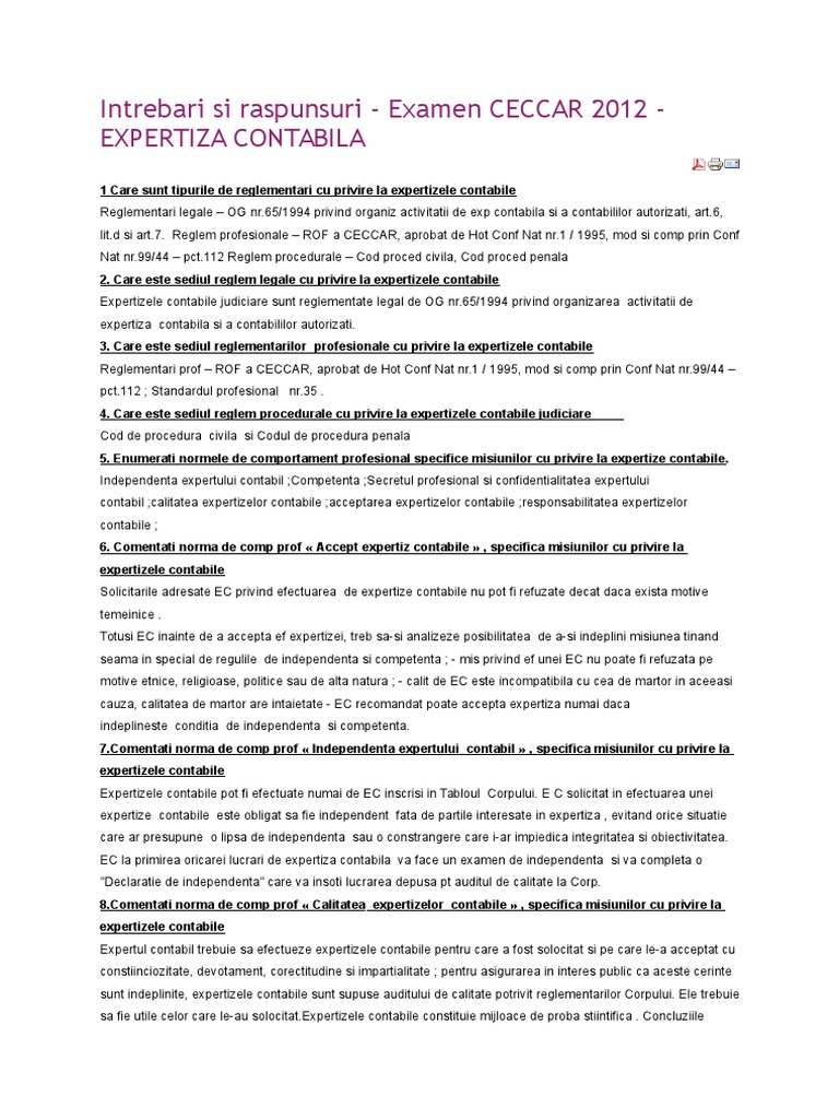Expertiza Contabila | PDF