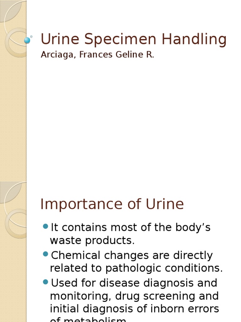 Urine Specimen Handling Guide | PDF