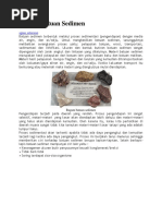 Struktur Primer Dan Struktur Sekunder | PDF