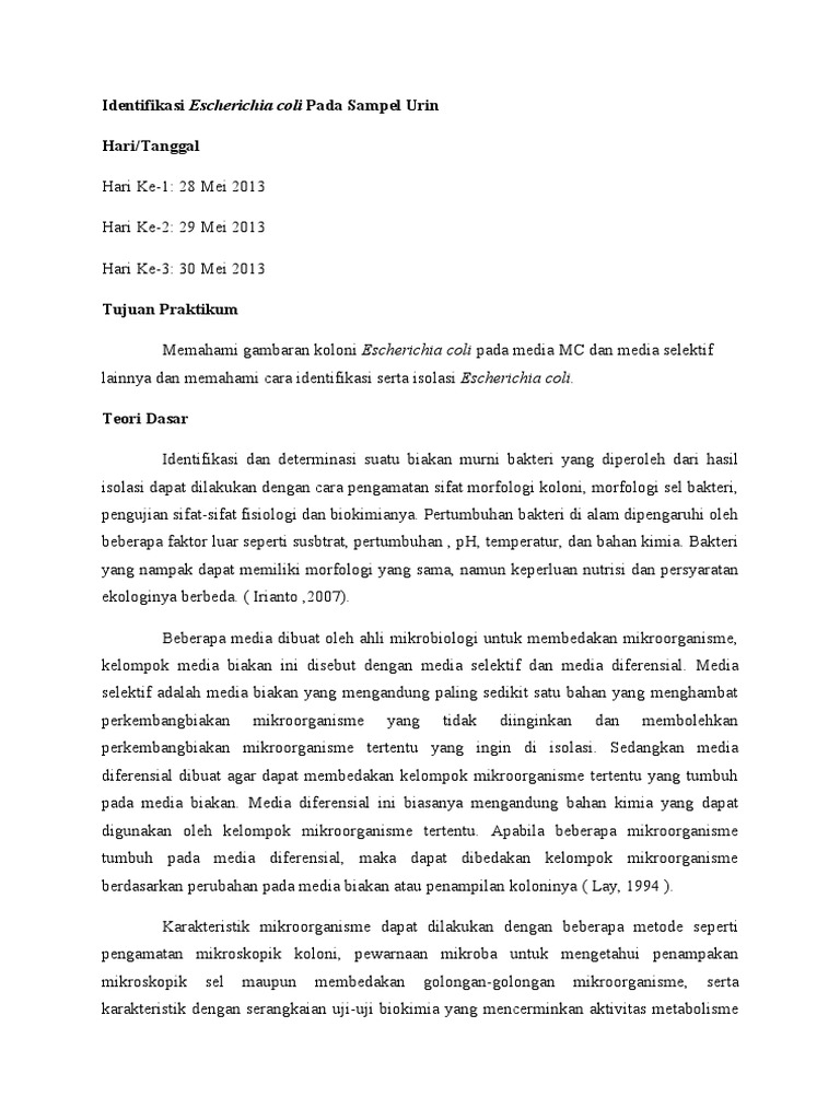 Identifikasi Escherichia Coli Pada Sampel Urin | PDF