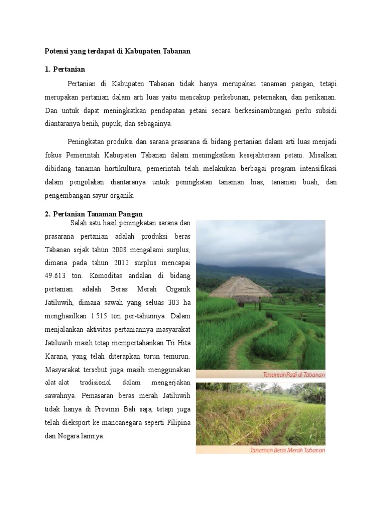 Potensi Ekonomi Kabupaten Tabanan | PDF | Teknologi & Rekayasa