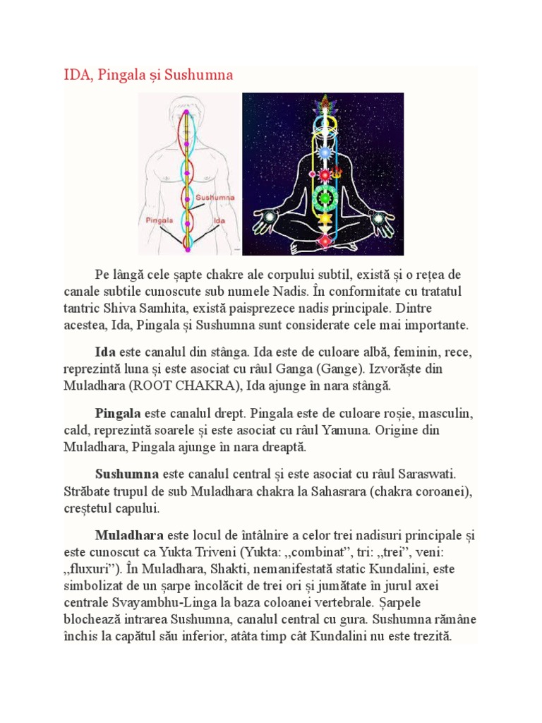 14.IDA, Pingala Și Sushumna | PDF