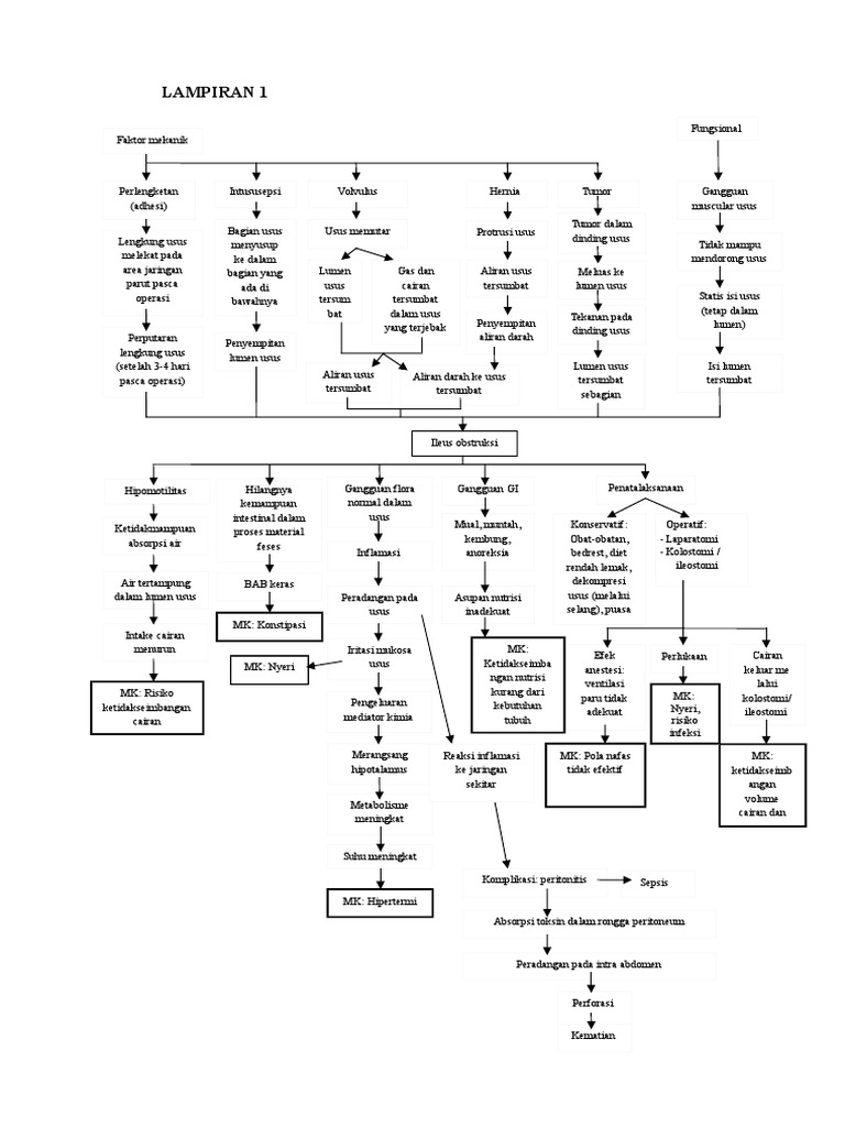 Pathway Ileus Laparatomi | PDF