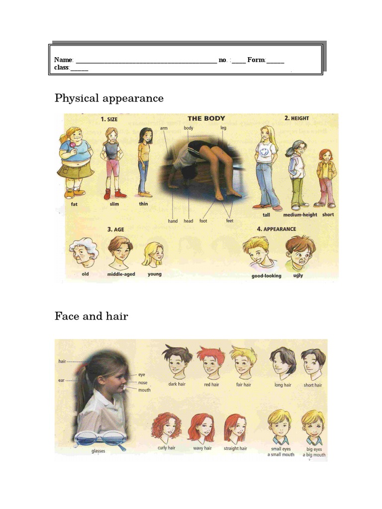 Physical Appearance | PDF
