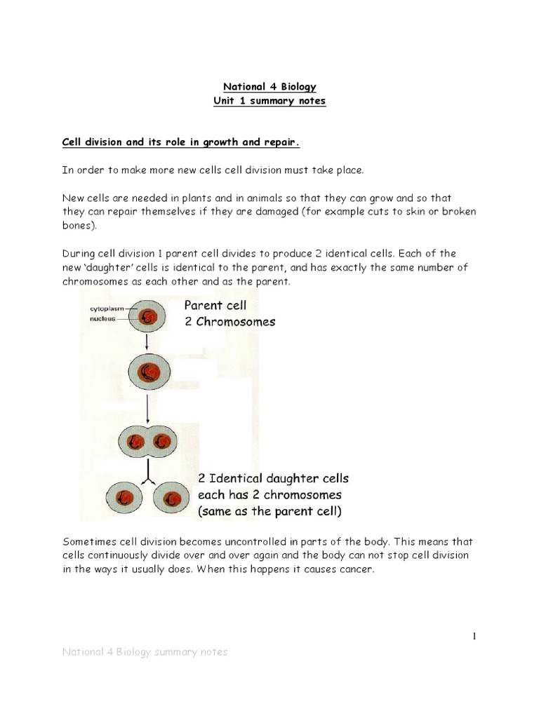 Biology Summary Notes | PDF | Photosynthesis | Cellular Respiration